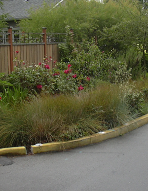 Portland, Oregon Green Streets Program | Adaptation Clearinghouse