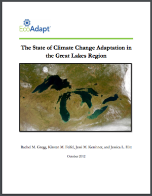 The State Of Adaptation In The Great Lakes Region Adaptation