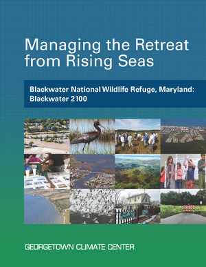 Managing the Retreat from Rising Seas — Blackwater National Wildlife ...