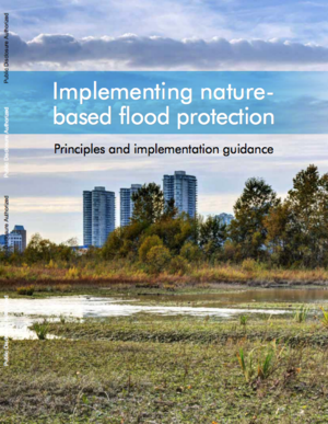 Implementing Nature-Based Flood Protection: Principles and ...