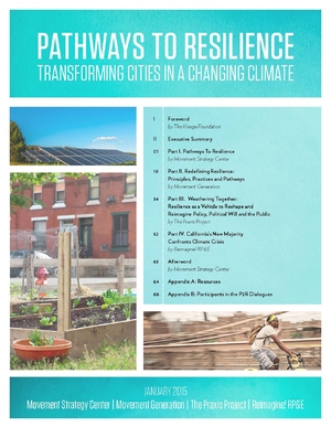 Pathways to Resilience: Transforming Cities in a Changing Climate ...