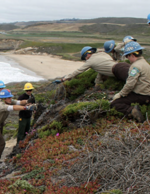 2022 California Climate Adaptation Strategy | Adaptation Clearinghouse