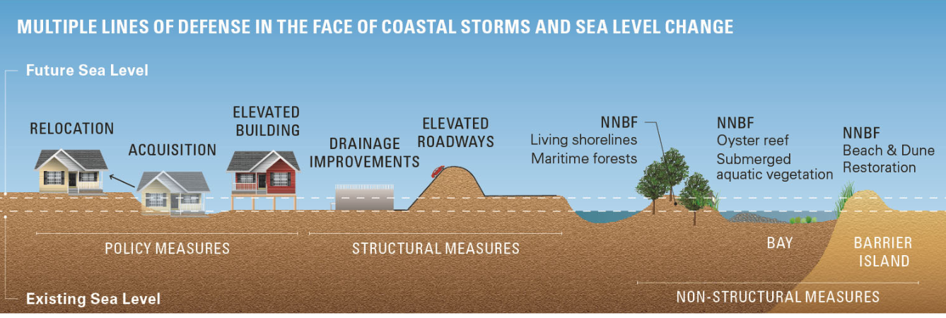 City of Virginia Beach - Nature-Based Coastal Flood Mitigation Strategies | Adaptation Clearinghouse