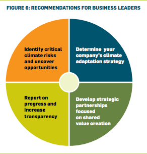 The Business Case for Responsible Corporate Adaptation: Strengthening ...